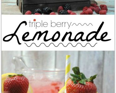 Peach Bellini Slushy Recipe - Best Crafts and Recipes
