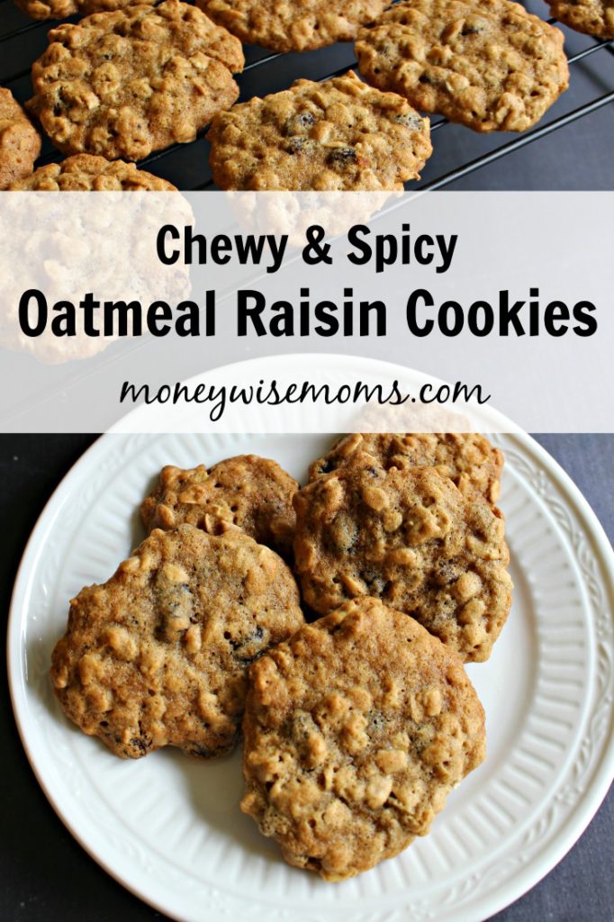 The Most Amazing Chewy and Spicy Oatmeal Raisin Cookies - Best Crafts ...