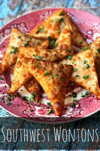 Southwest Wontons Recipe - Best Crafts and Recipes