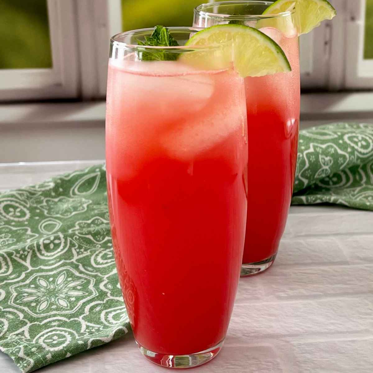 Watermelon Mojito - Best Crafts and Recipes
